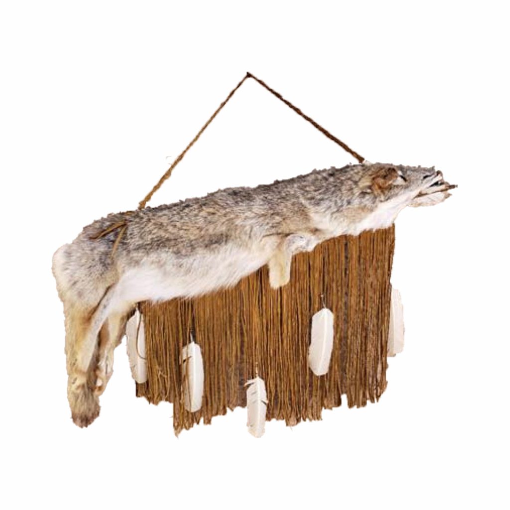 A Guide To Native American Artifacts | Kachina House