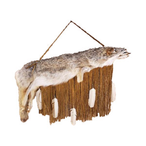 A Guide To Native American Artifacts | Kachina House